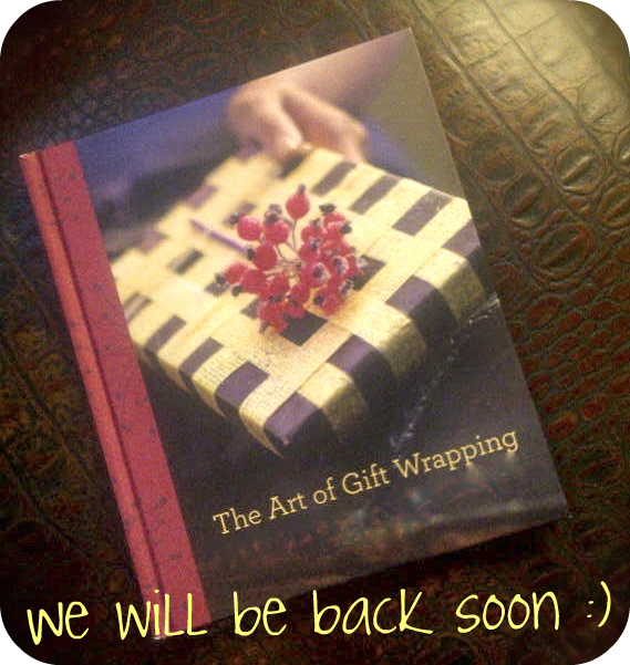 Wrapping Mania: We will be back soon :)