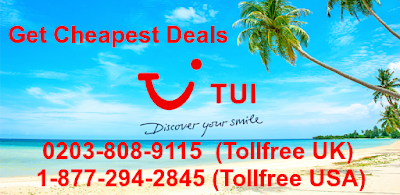 vsupport travel: How To Check In Online Tui Airlines | Customer Service ...