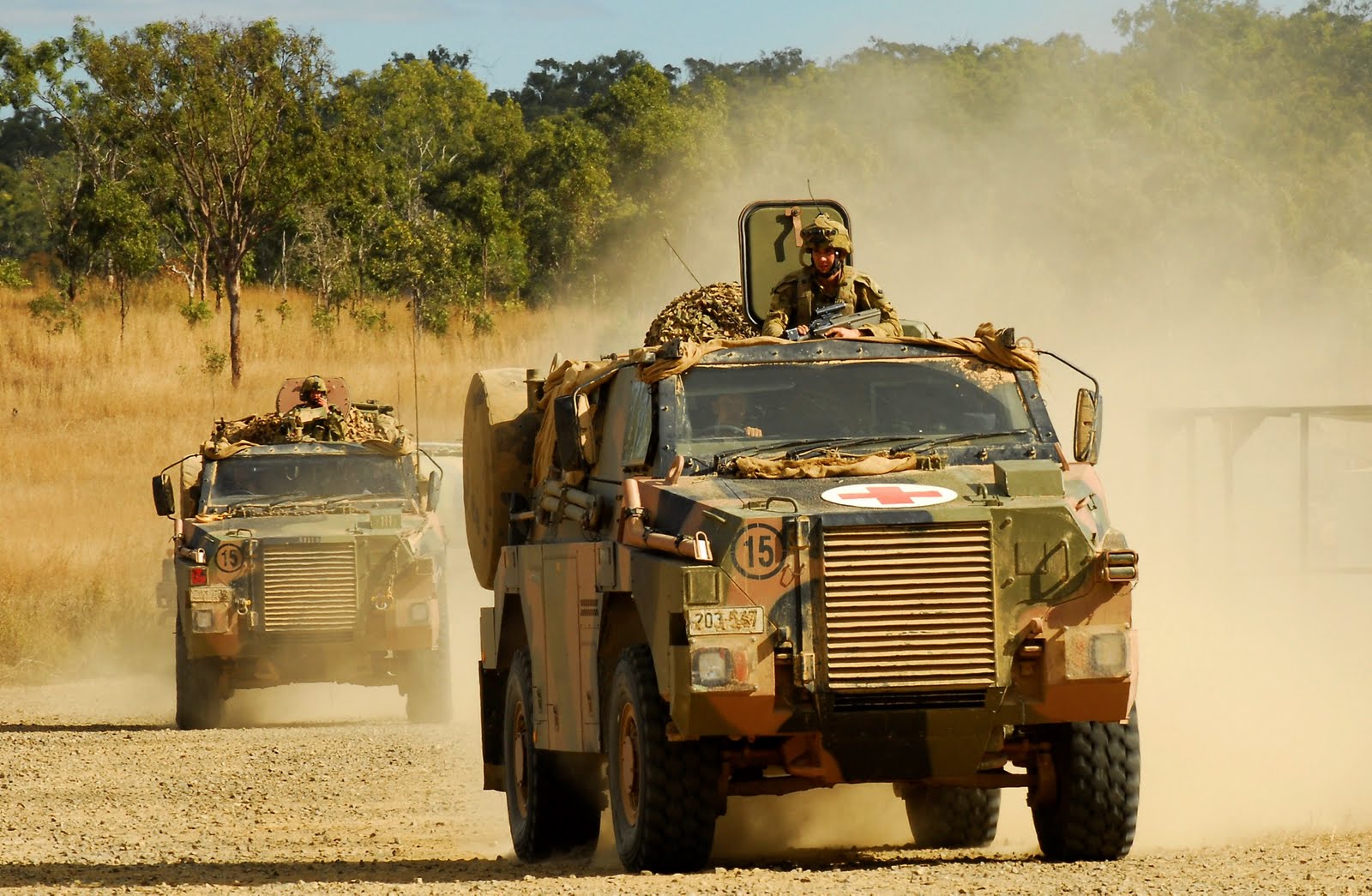 Bushmaster | klecam-klecem