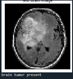 RareKind PhD Solutions