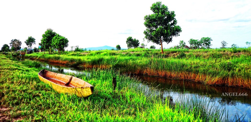 ACHWAN ARDIANTO: Info Kendawangan