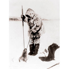 'ZIEN EN WETEN': ROBBEN E.A. ZEEZOOGDIEREN.