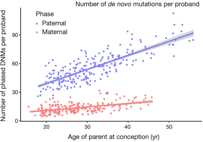 Sandwalk: Parental age and the human mutation rate
