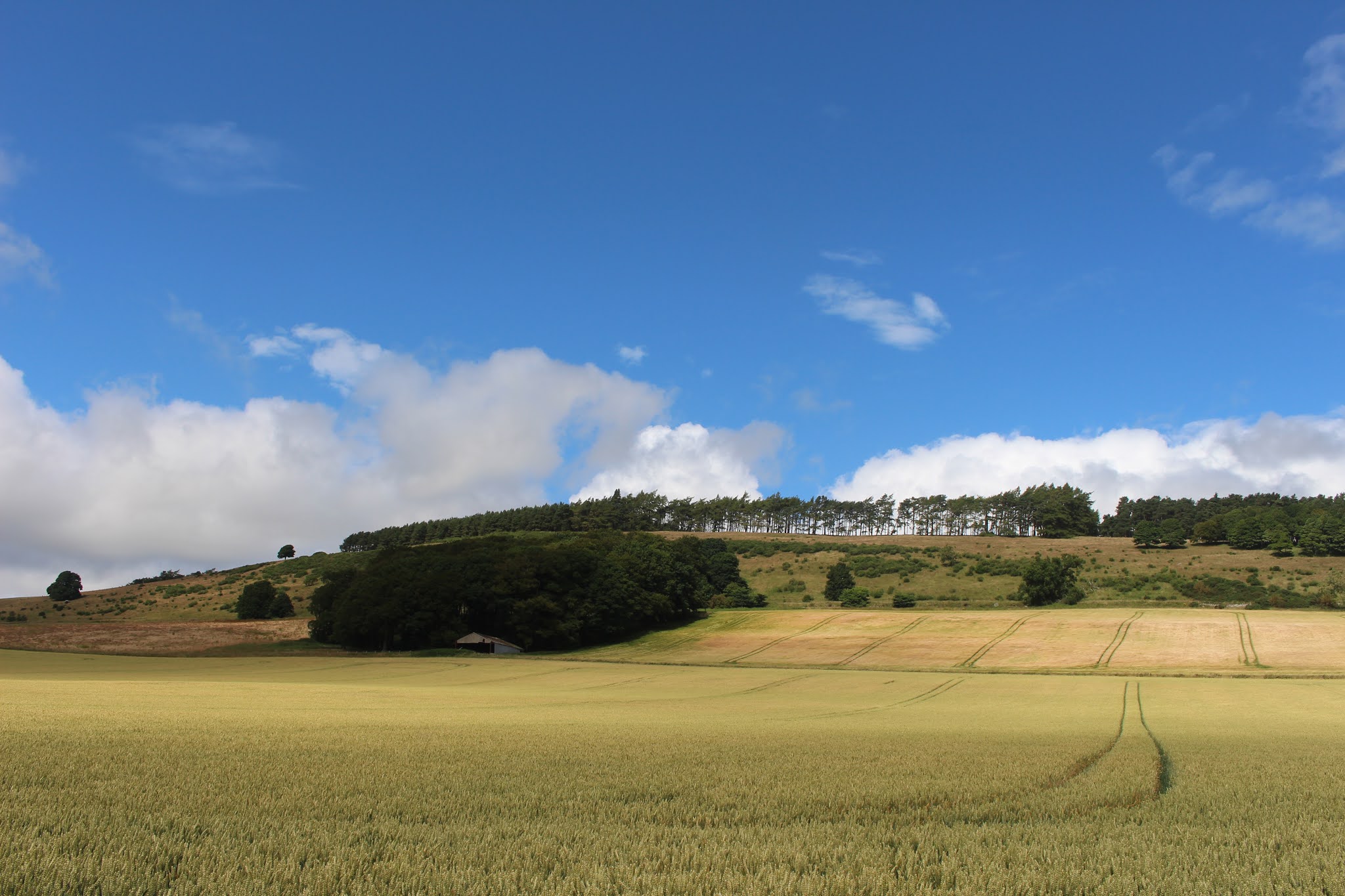 The location of the battle of Dunnichen