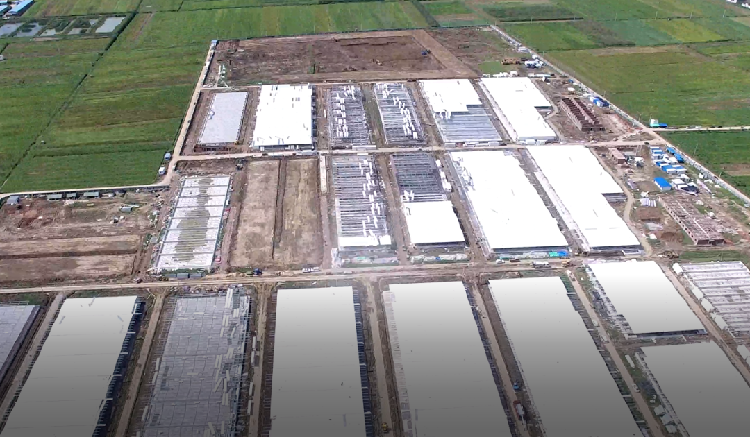 Dim Sums: Rural China Economics and Policy: Pig Farms Compete for China ...