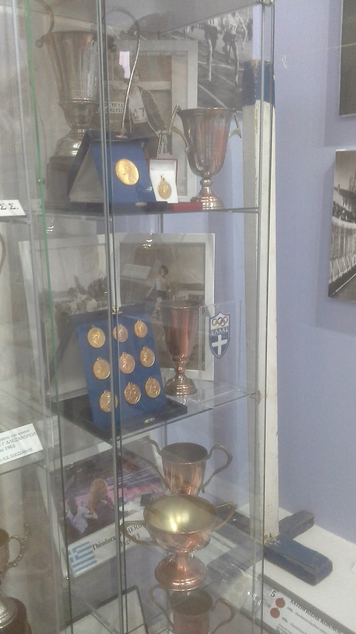 ΜΟΥΣΕΙΟ ΚΛΑΣΙΚΟΥ ΑΘΛΗΤΙΣΜΟΥ ΕΔΕΣΣΑΣ: ΤΟ ΜΟΥΣΕΙΟ
