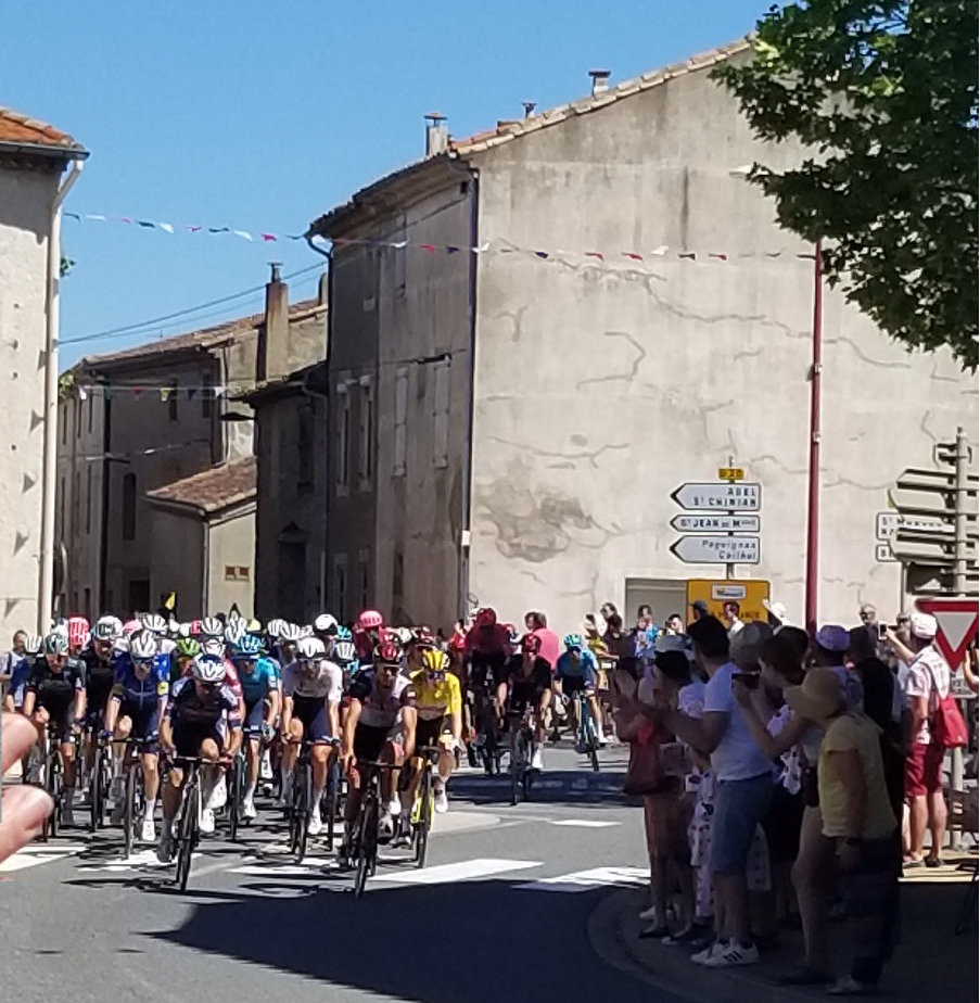 Trisha Ray - Log of a Travel Artist