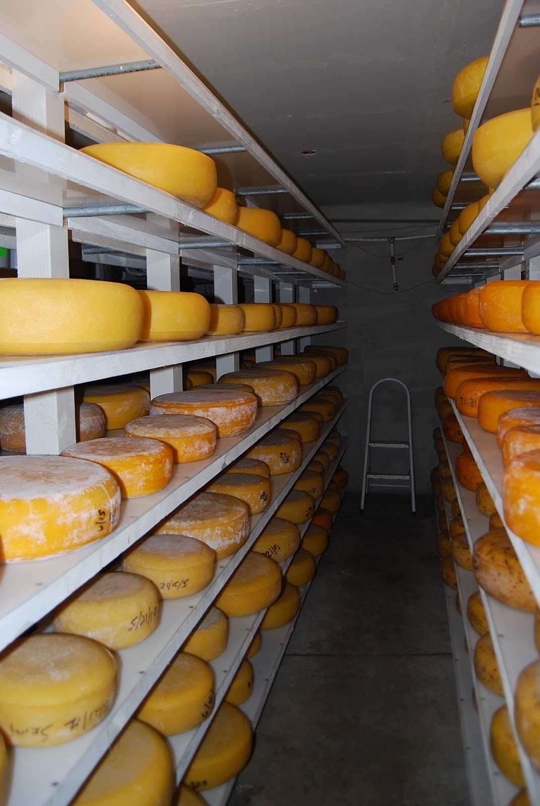 Wilamar Farm: Cada Dia Cheese Tour