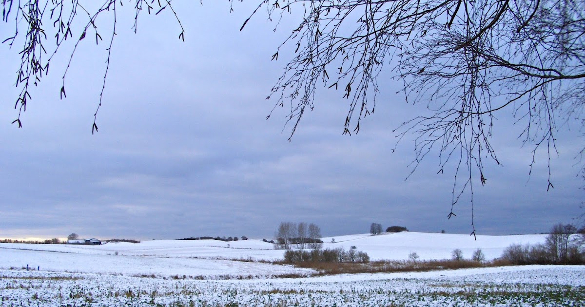 Karen`s Nature Photography: Countryside Snowscape.