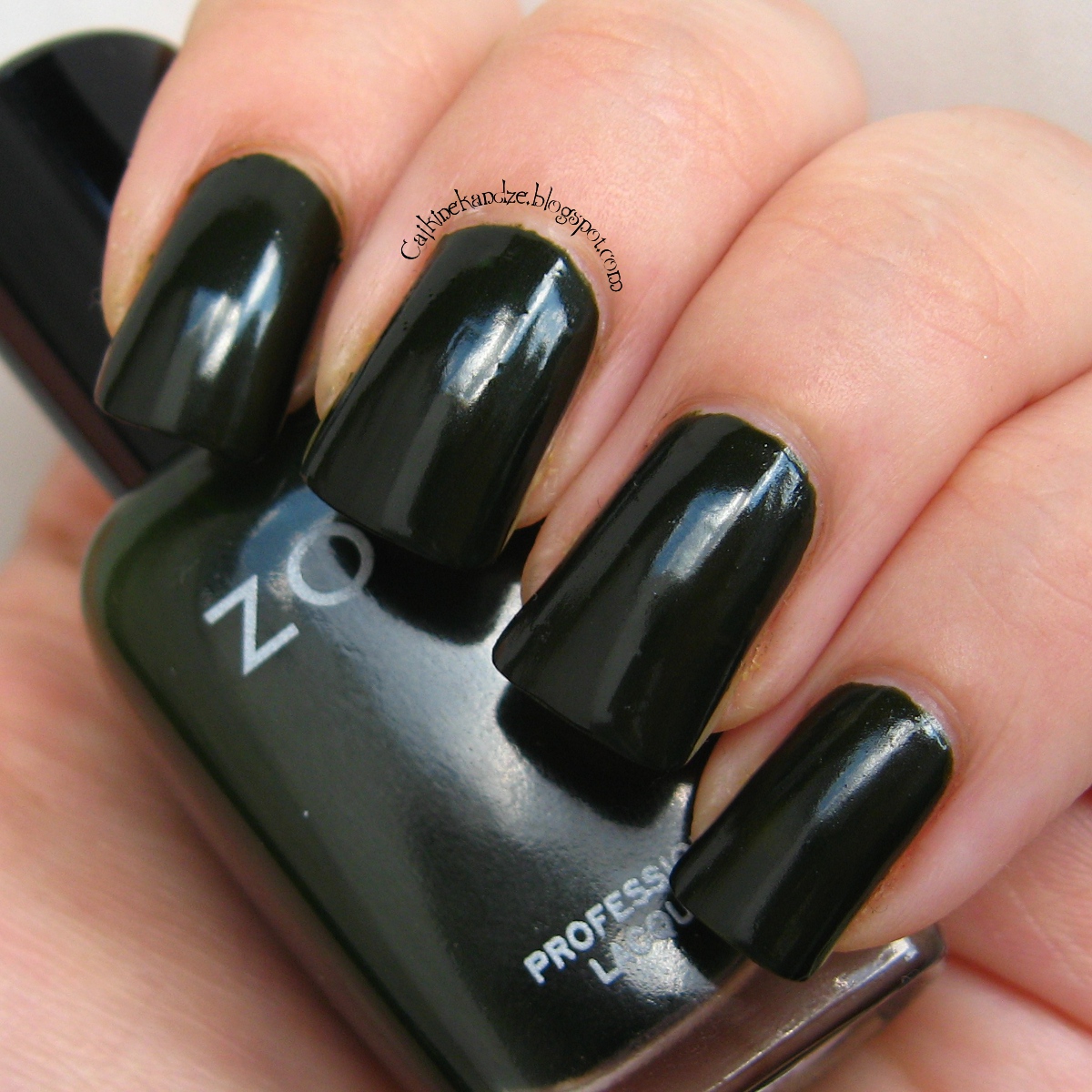 Zoya Envy | Cajkine kandže i sve njihove boje