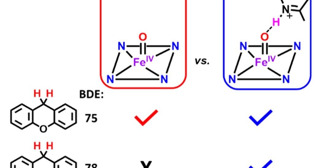 Enhanced Rates of C−H Bond Cleavage by a Hydrogen-Bonded Synthetic Heme ...