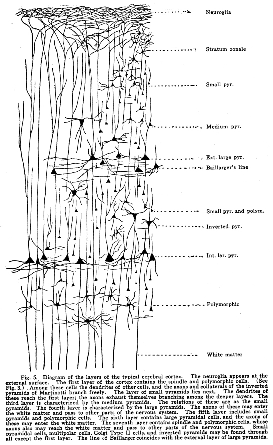 Al Fin: Steps to Better Human Brains