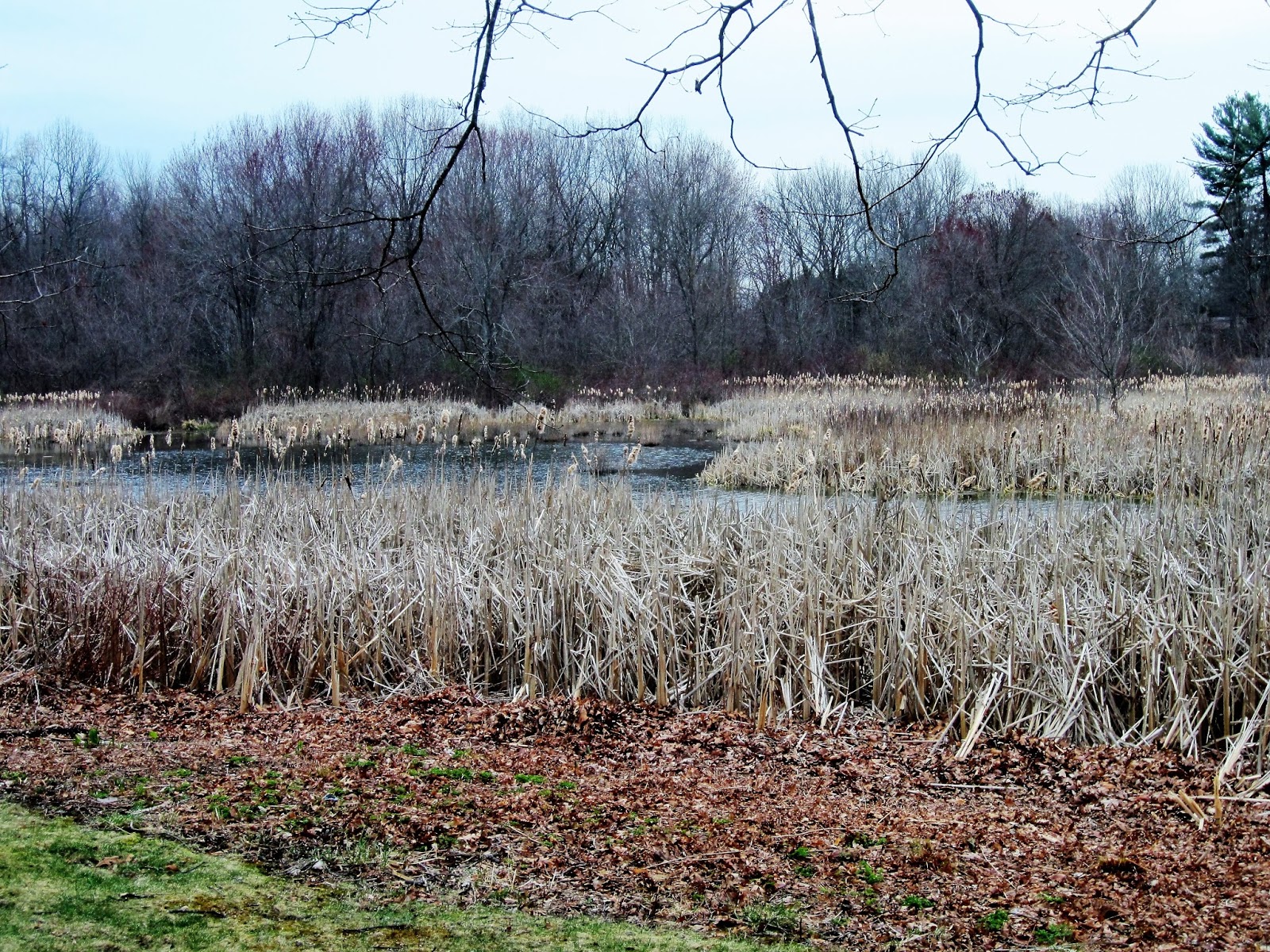 Souvenir Chronicles: HYDE PARK, NEW YORK: ELEANOR ROOSEVELT'S VAL-KILL