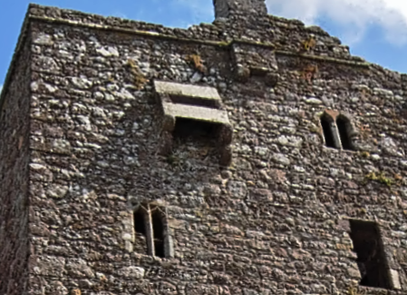 Ireland In Ruins: Ballyhack Castle Co Wexford