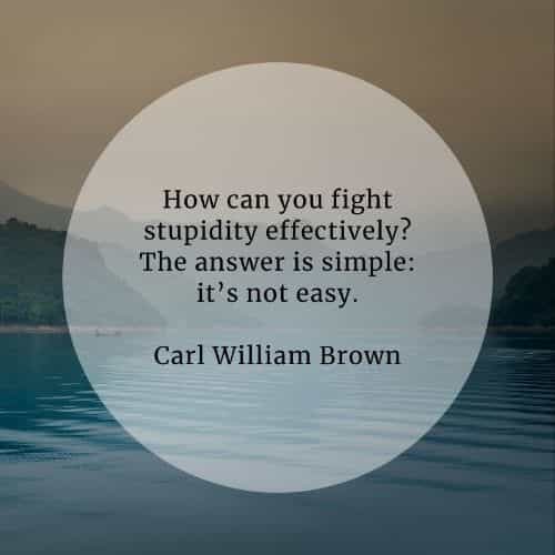 65 Stupid quotes that'll give cognizance of being foolish