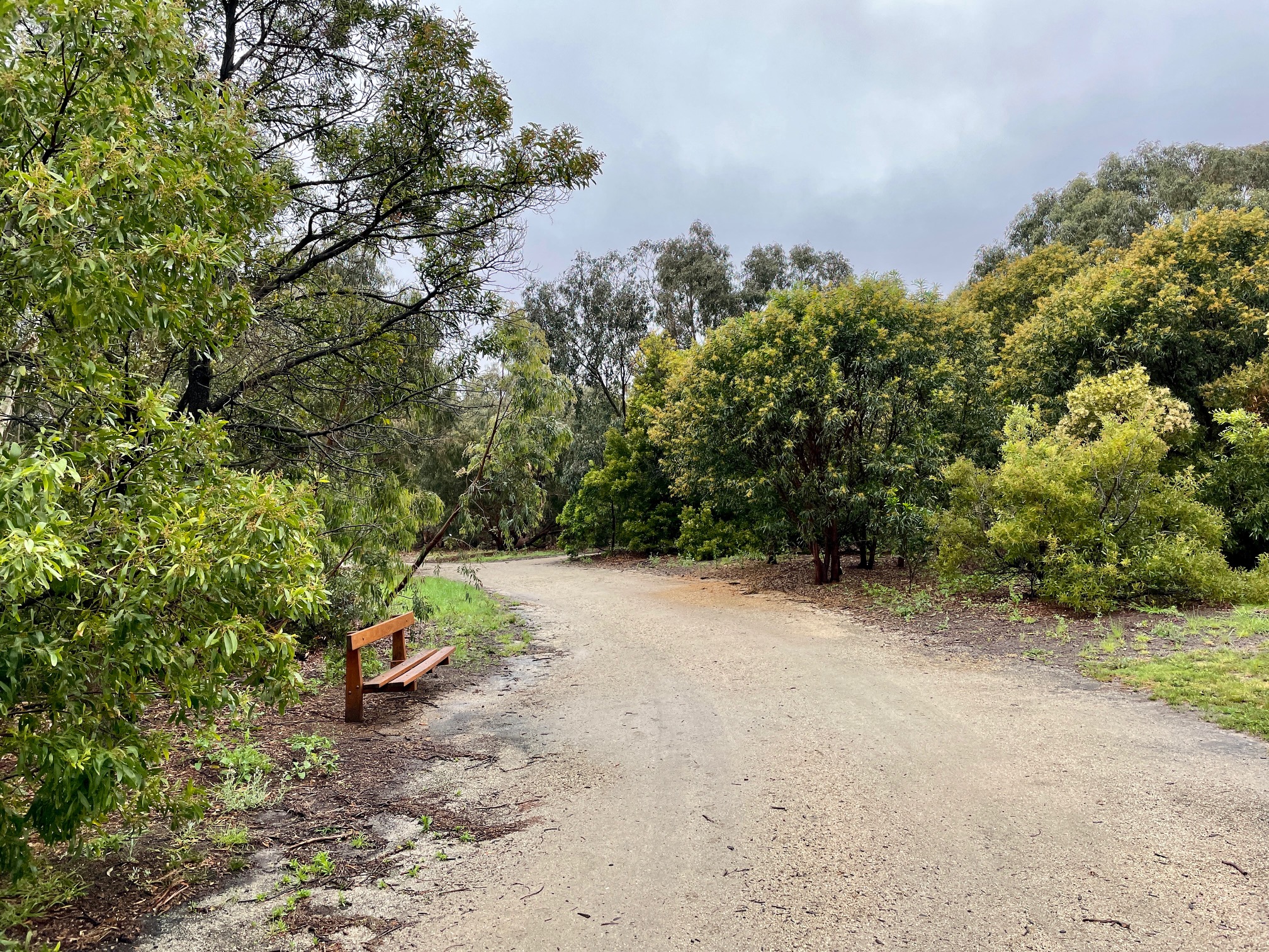 Goin' Feral One Day At A Time: Tatterson Park Circuit Walk - October 2021