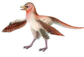 Los animales en la prehistoria: junio 2013