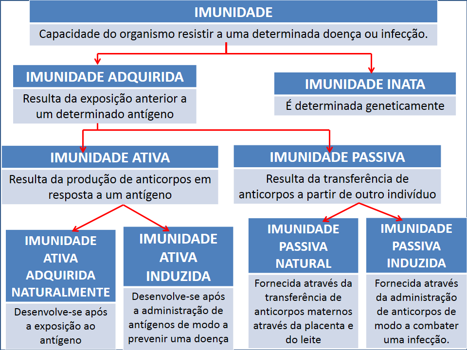 ABOUT HEALTH: fevereiro 2014