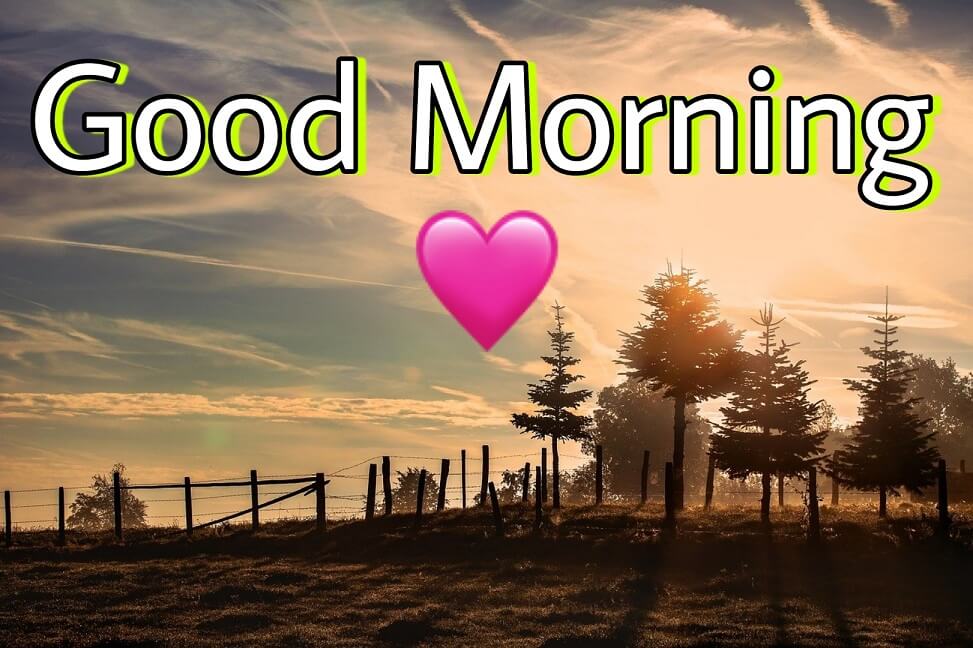 Good Morning Pictures