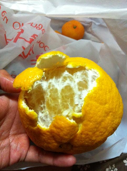 Hallabong - Jeju tangerine