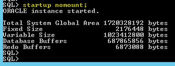 Remote Infrastructure Management: NetBackup - Performing ORACLE ...