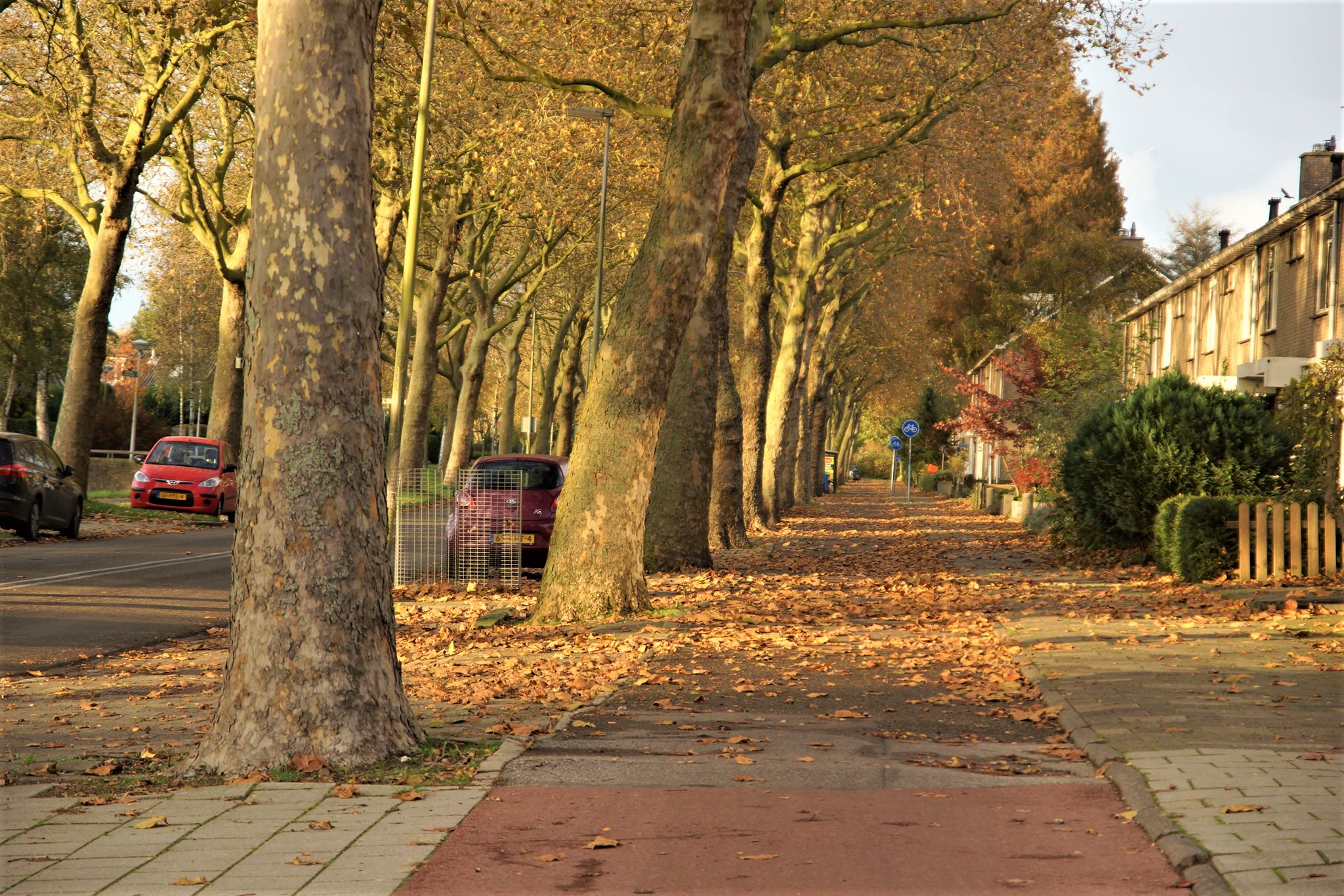 Dorpen en Steden van Nederland: Alphen aan den Rijn