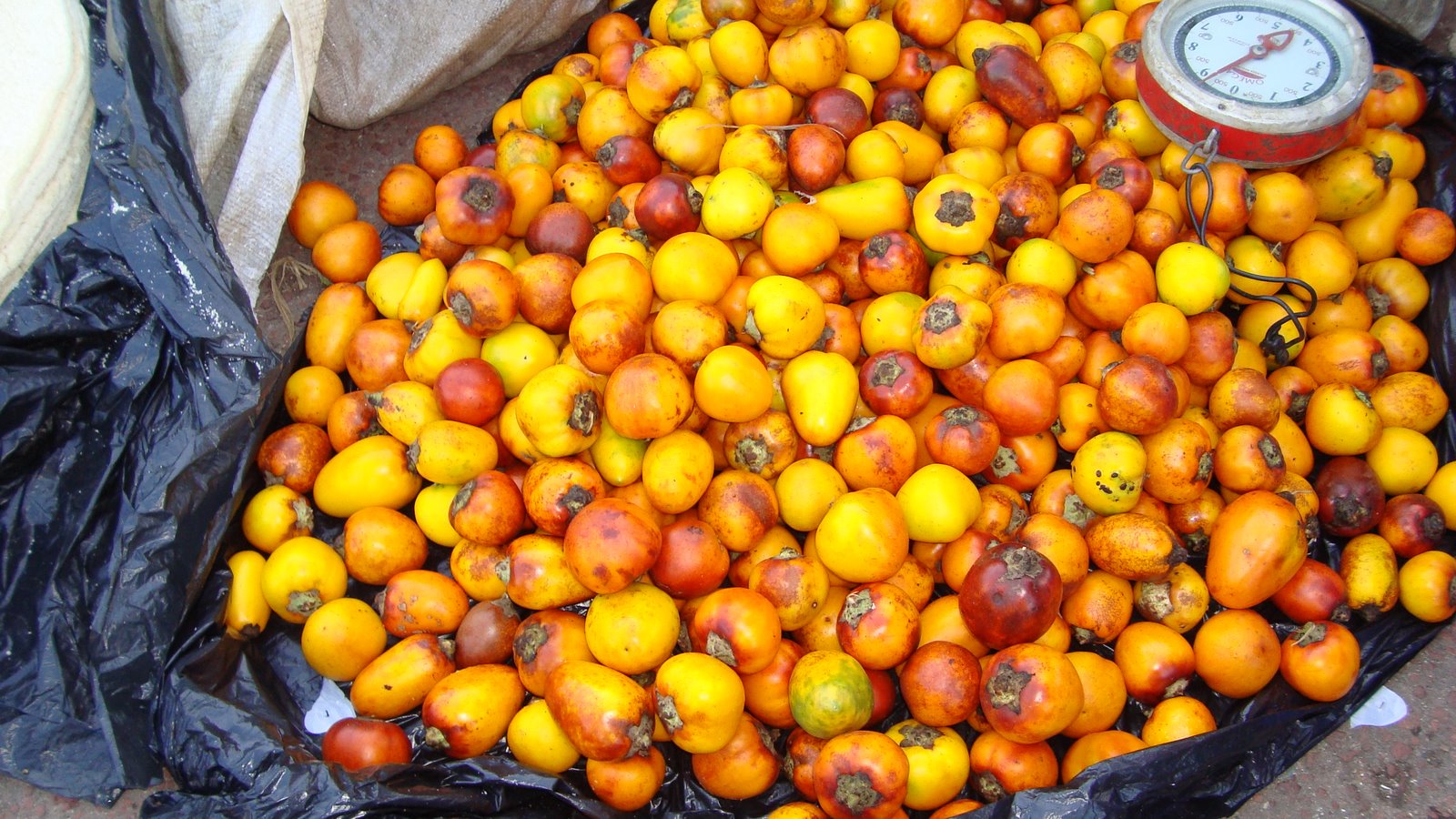 AMIGOS TOUR-TREK: GASTRONOMÍA TÍPICA