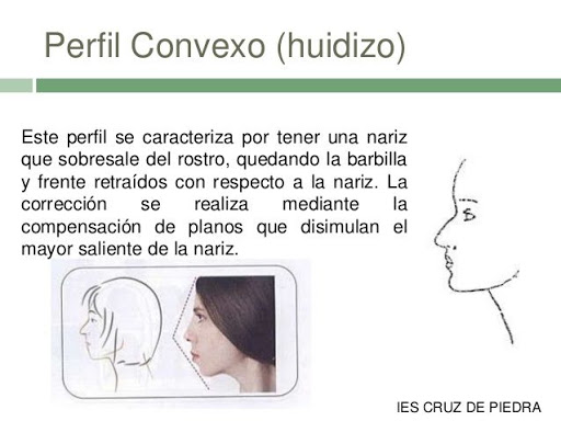 TIPOS DE PERFIL (Rostro)