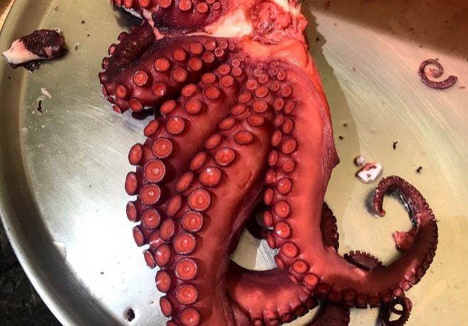 GALICIA : POLBO Á FEIRA