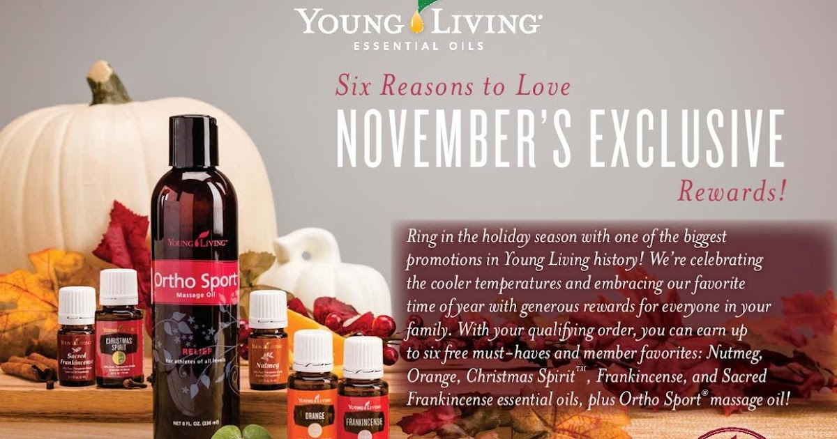 My Every Day Oils: November Promos