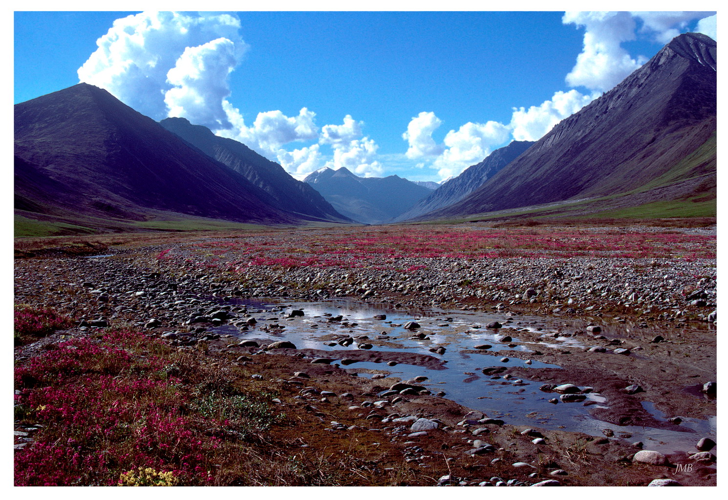 Things: Upper Jago watershed, ANWR, Alaska, 1990