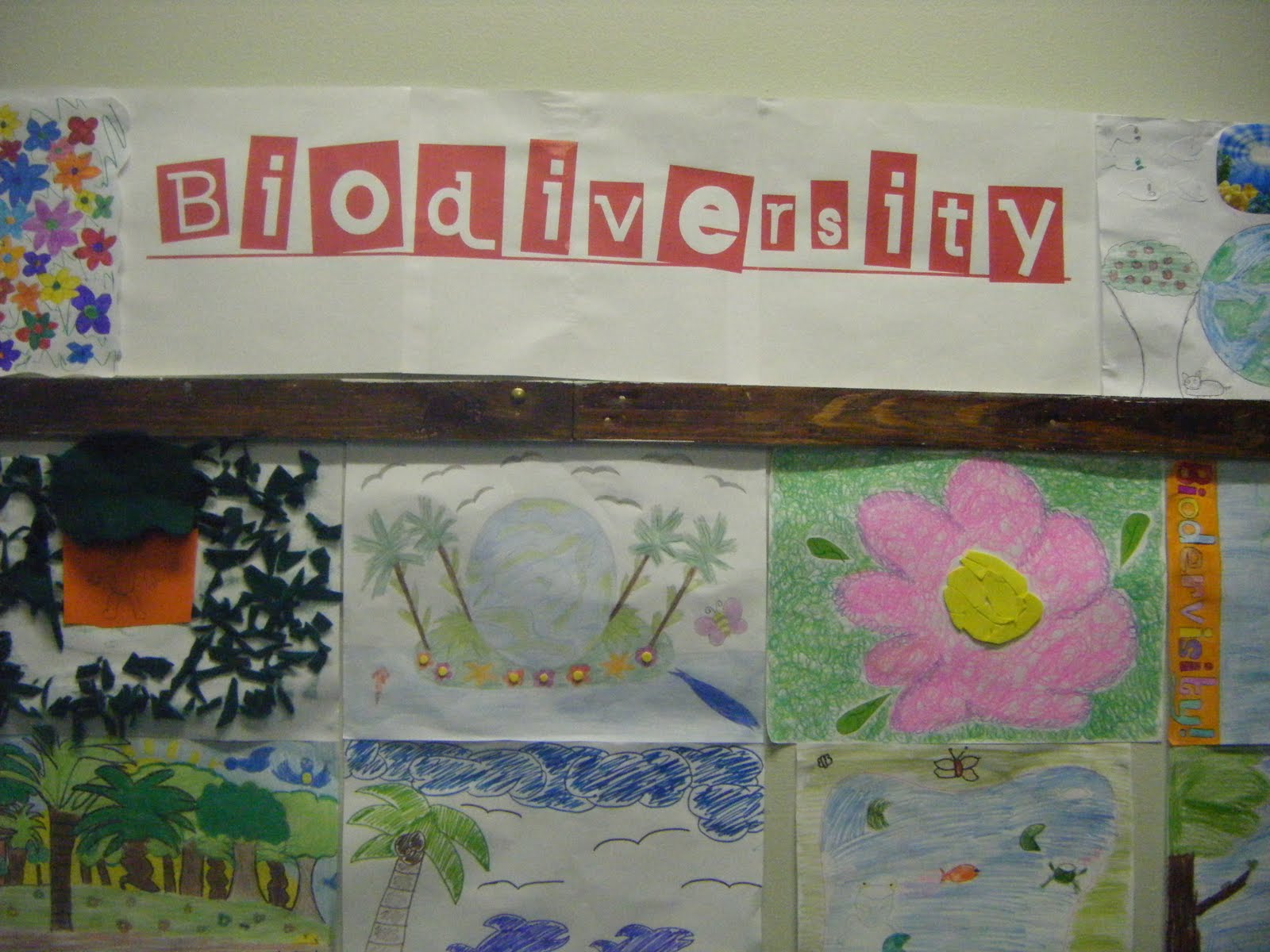 Green School Project: Biodiversity Poster Competition