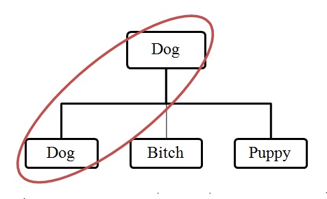 SEMANTIC QUESTIONS: Semantic Relation: Hyponymy