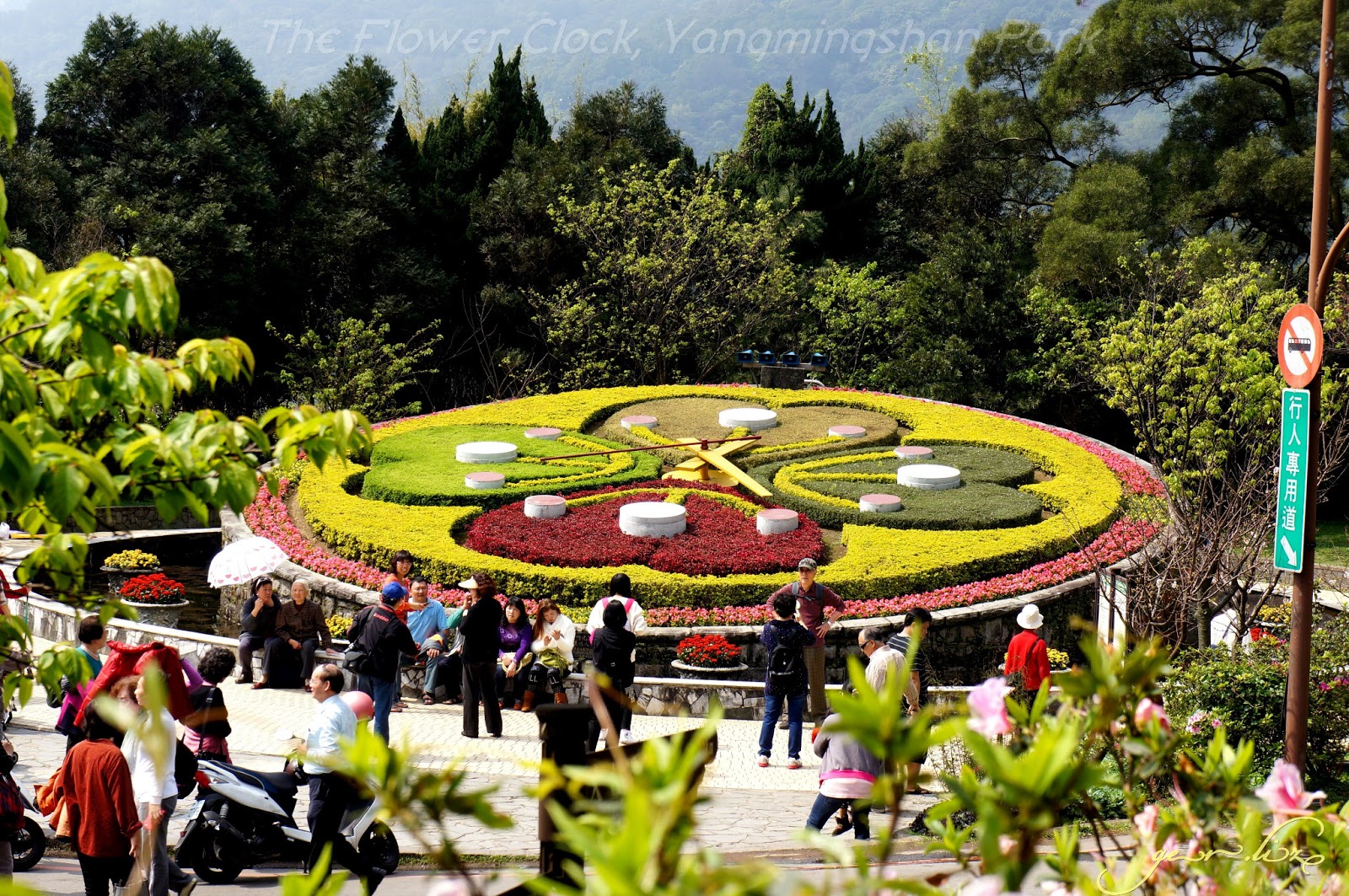 Yangmingshan Park Revisited | Trips... by Liz