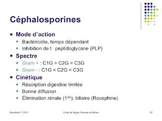 cephalosporins