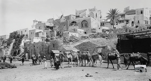 Jewish Bubba: The Valley of Jezreel in Central -Israel and Its ...
