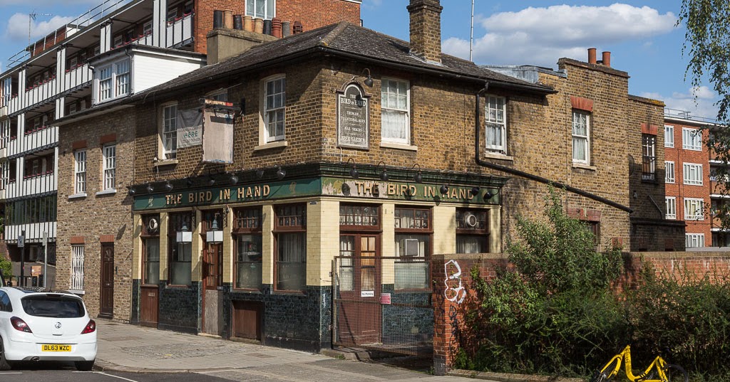 Shadows & Light: Foxglove Distribution Campaign