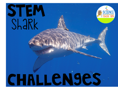Shark STEM Connections - The Science School Yard