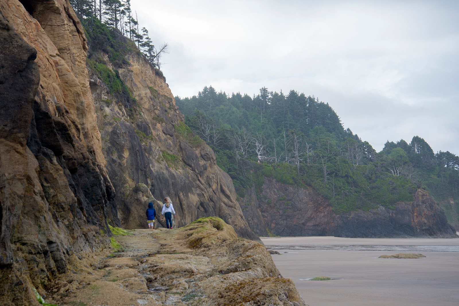 Oregon Coast Tide Pools at Hug Point and Cannon Beach - light-in-leaves