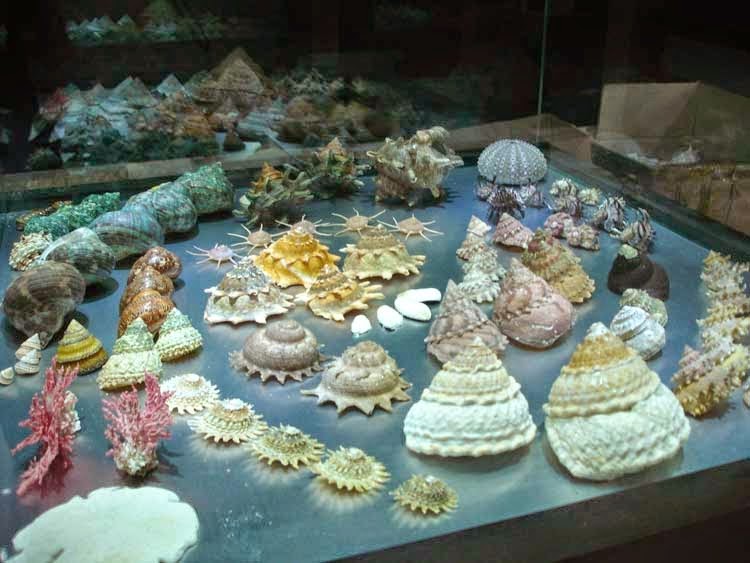 Bali Indonesia Holiday Travels: Fantasy of Bali Shell Museum