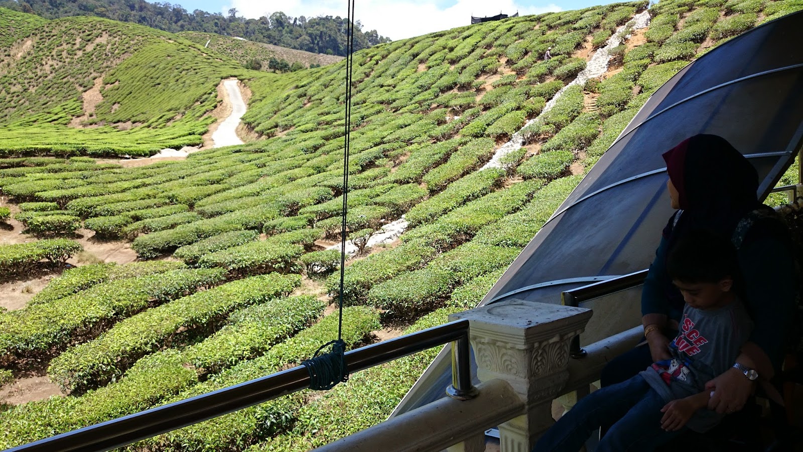 Today BAHAGIA: CAMERON VALLEY TEA HOUSE, CAMERON HIGHLAND