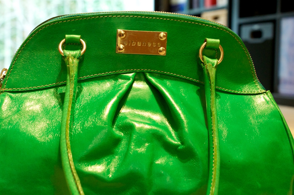 Gordita and the Compensator: Green Purse!