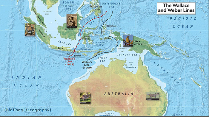 Menyusuri Alam, Budaya dan Kuliner Wallacea di World Food Travel Day