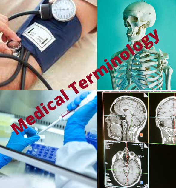 Medical Terminology List - A