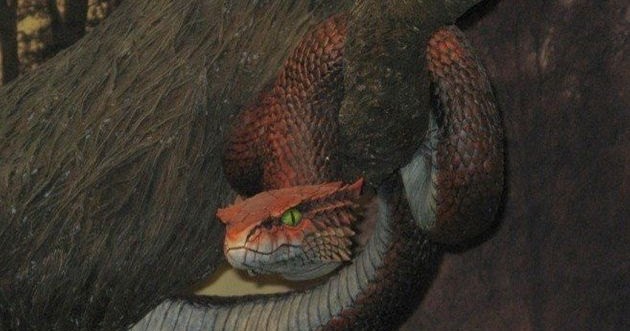 What is the Great Deception? - UNSEALED - World News | Christian News ...