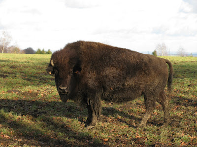 BelgiumBarb: On The Tenth Day Of Christmas... the 2011 Historical ...
