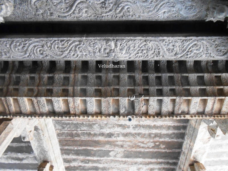 A Wandering Heritager: BHU VARAHA SWAMY TEMPLE, SRIMUSHNAM IN CUDDALORE ...