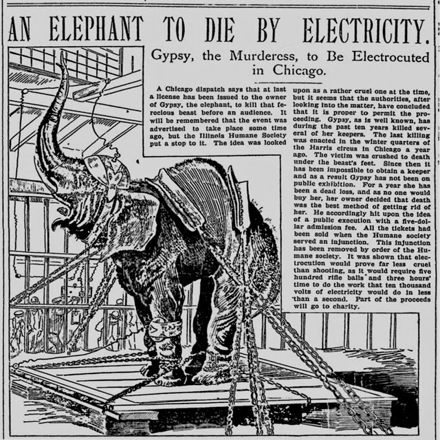 current ~ BLEIBLOG LEGEND