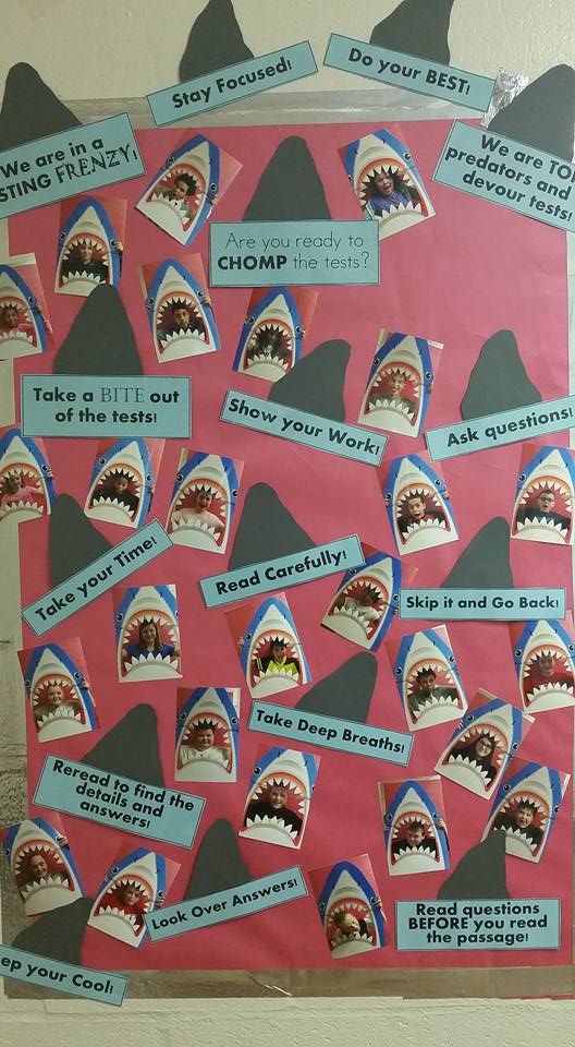 Growing a STEM Classroom: 2017