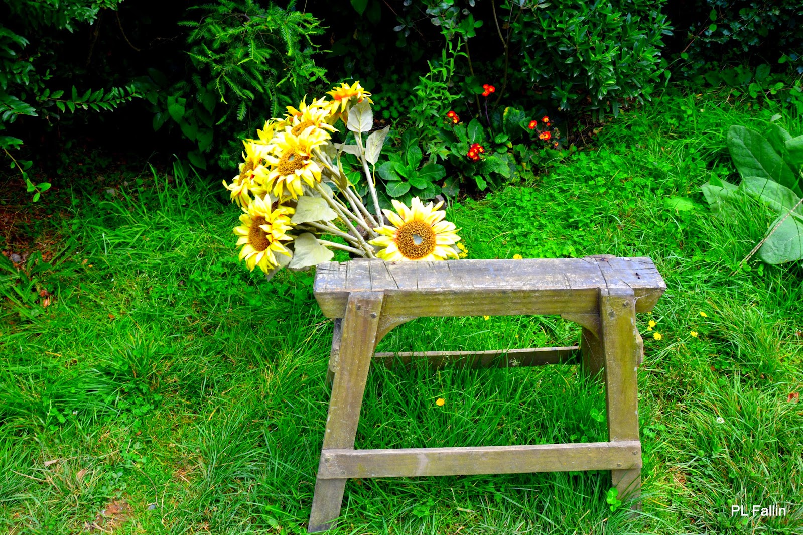 PL Fallin Photography: The Hobbit's Middle-Earth Flower and Vegetable ...